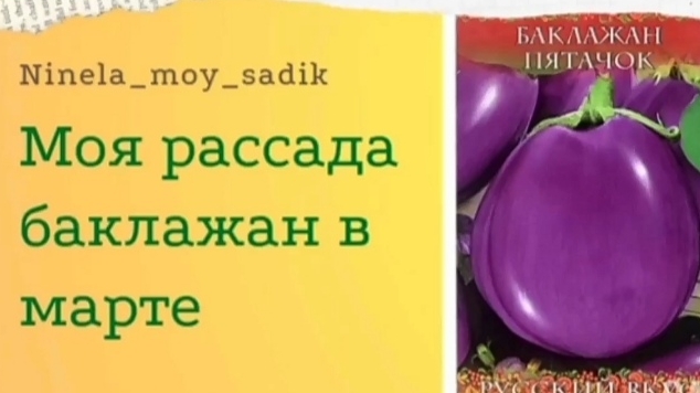 Баклажан "Пятачок". Рассаде 2 месяца. Как получить крепкую рассаду, важные моменты.