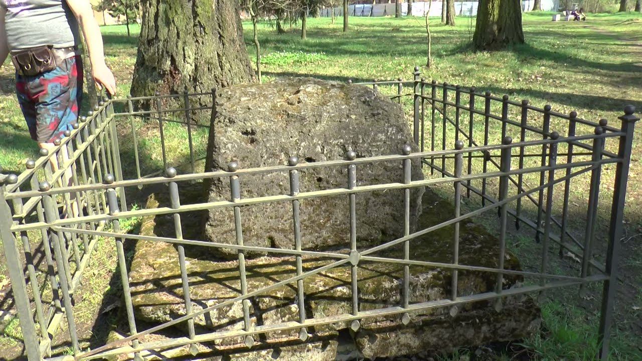 Приютино. Лягушкам нравится!