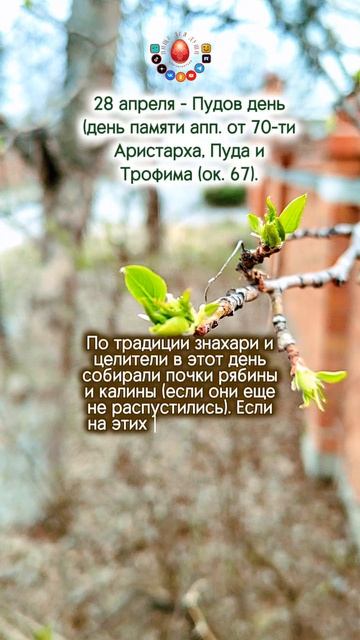 На Пудов день по традиции...