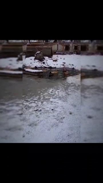 Весна, резиденция художников