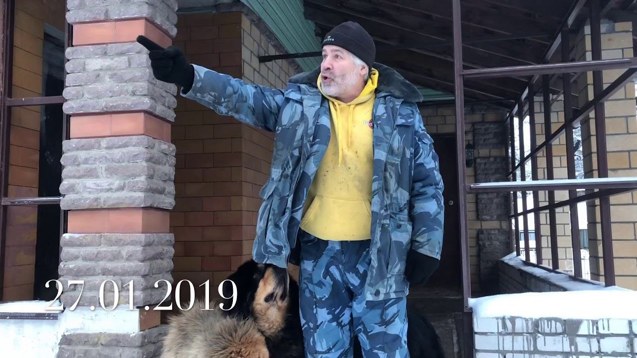 Грабеж средь бела дня в Ленте