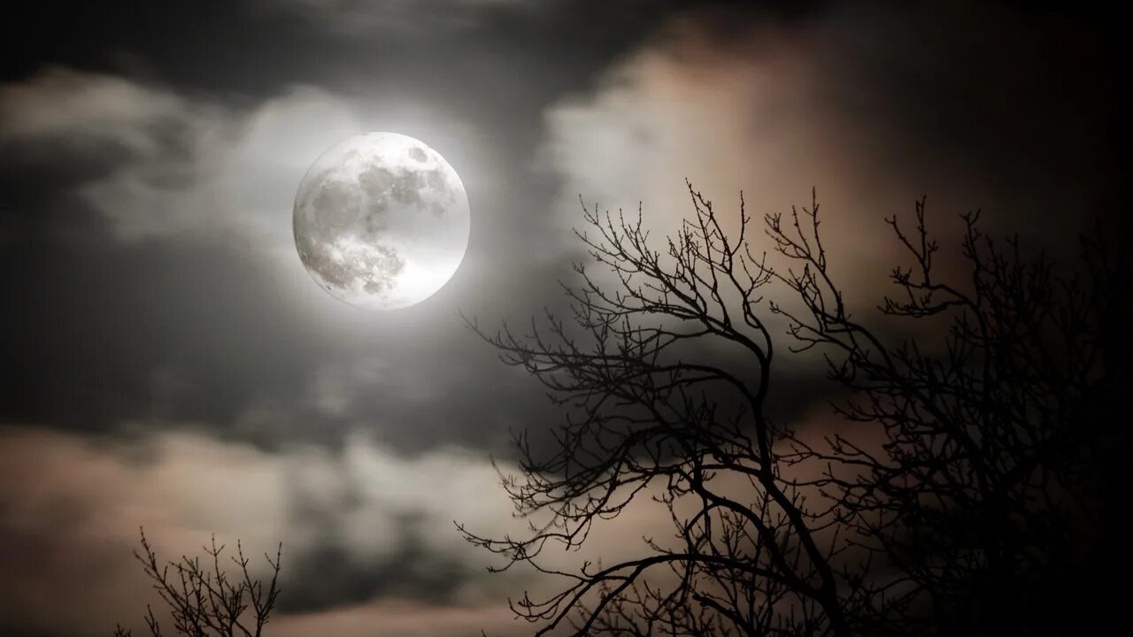 The Quarry прохождение/Интерактивный ужастик/Глава 9/PS4