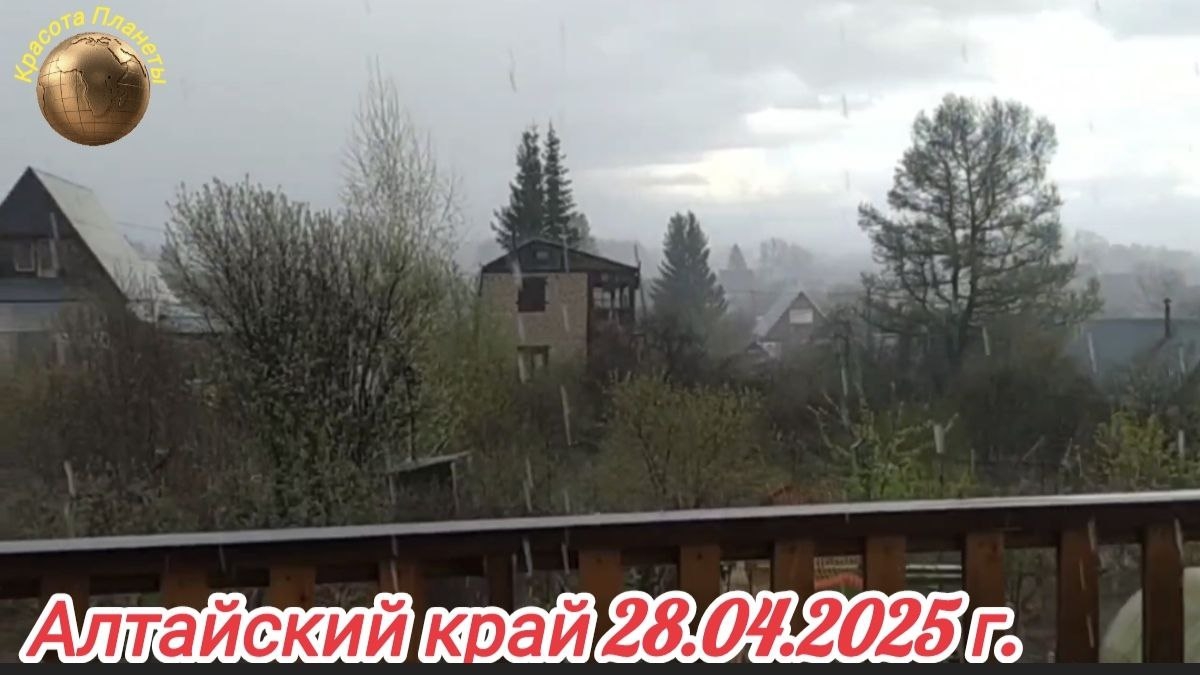 Тропический ливень в Алтайском крае 28.04.2025 г.