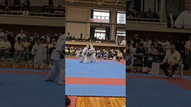 Сергей Иванов. Ветераны. Финал. «Открытый чемпионат Японии по Кёкусин-кан 2025 г.»