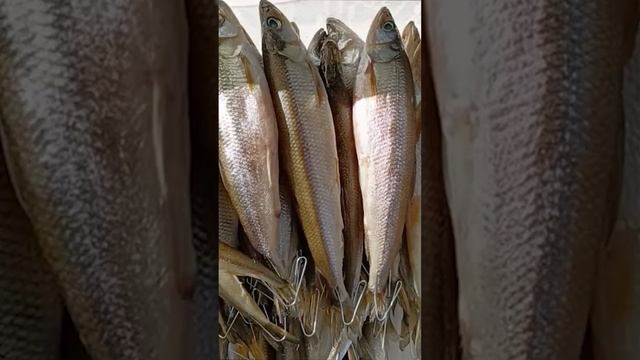 Корюшка по-Сахалински #shorts #рыба #fish