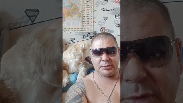 #86 трезвый отдых #шичко #моимыслинасегодня