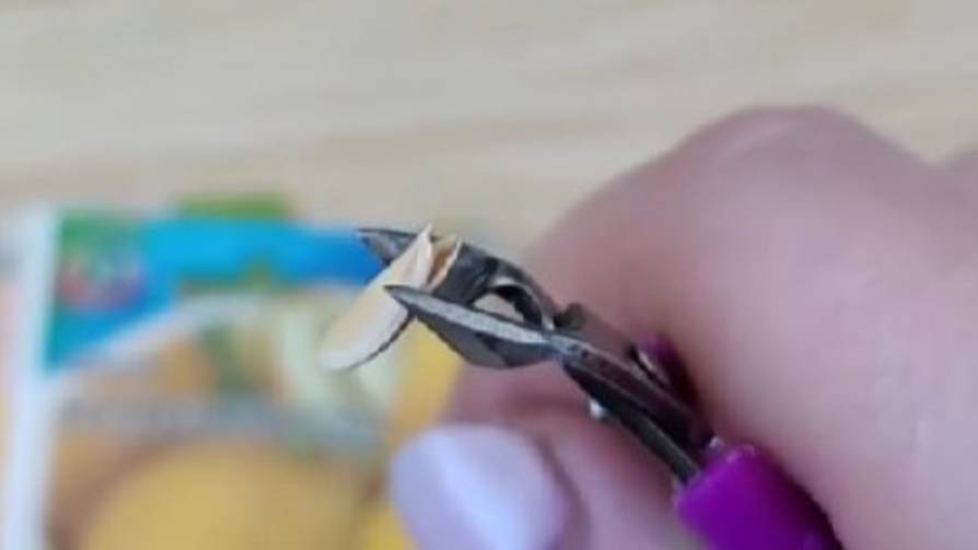 Проращиваю семена дынь с ускорением