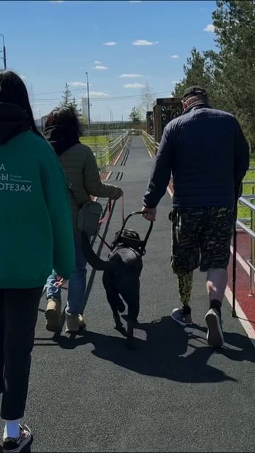 Еженедельные тренировки вместе с собаками проекта «Звёздный пёс в помощь людям»