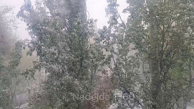 28 апреля 2025 года!