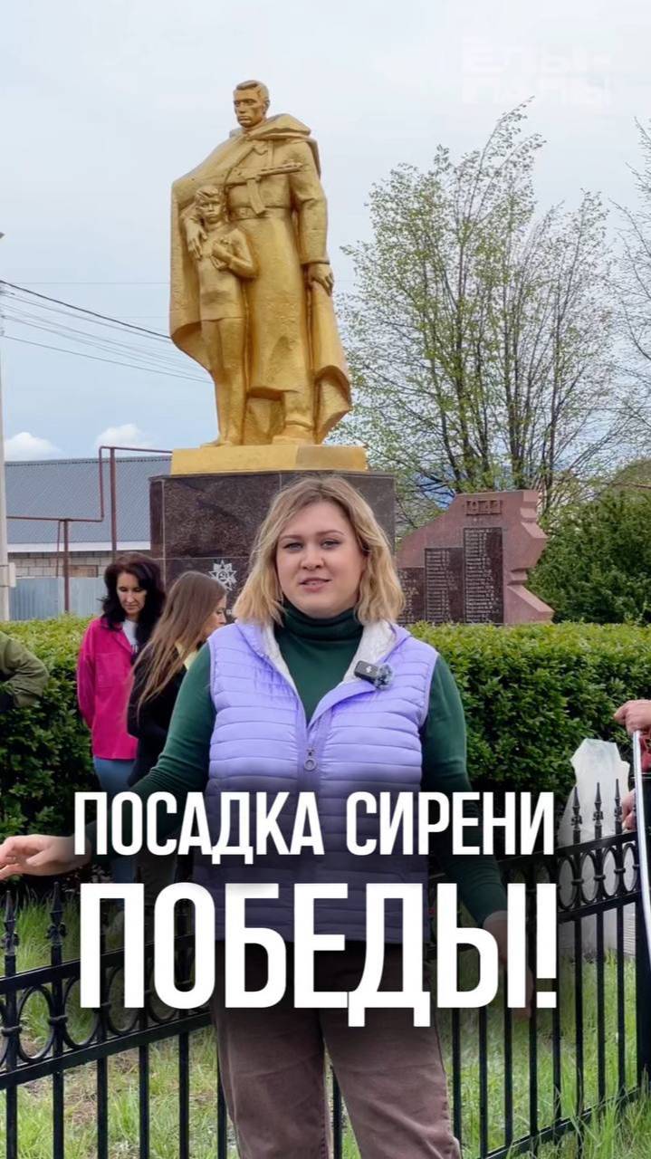 Живой памятник - Сирень Победы! Посадка сирени в селе Подстёпки.