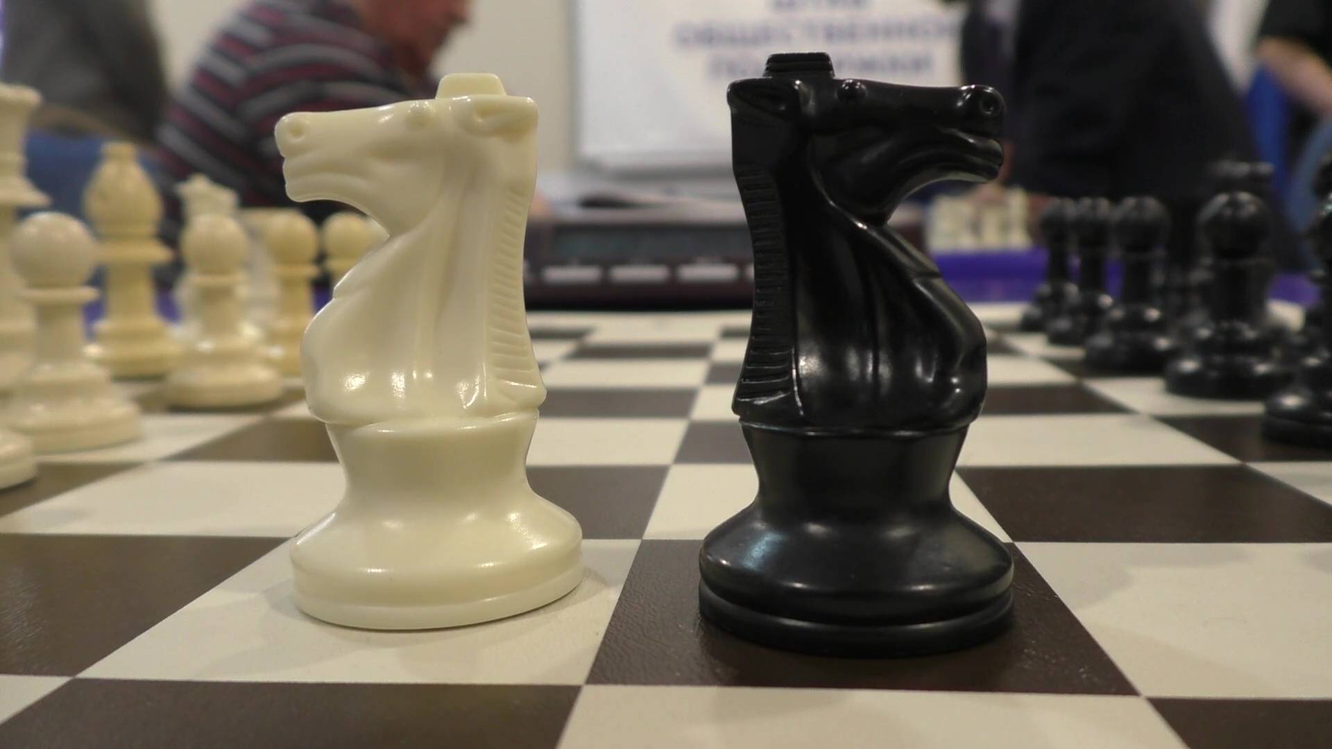 Кузница спорта (26.04.2025)