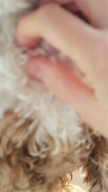 Спарки 👉👀👍🥰