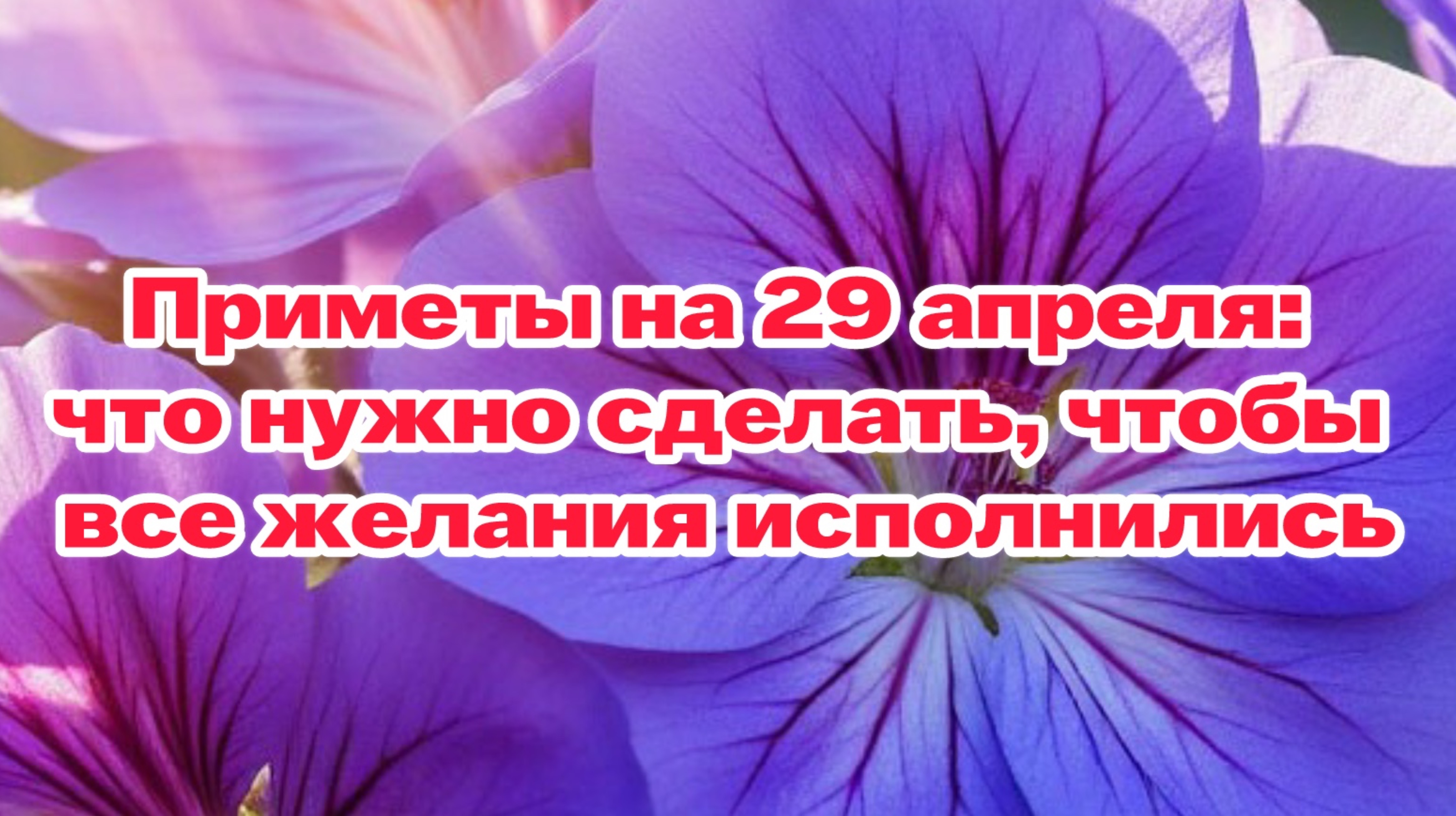 Приметы на 29 апреля: что нужно сделать, чтобы все желания исполнились