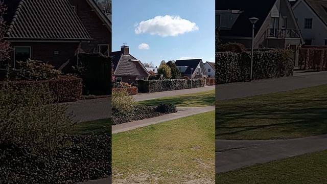 Тропарь греческий святой Евфимии