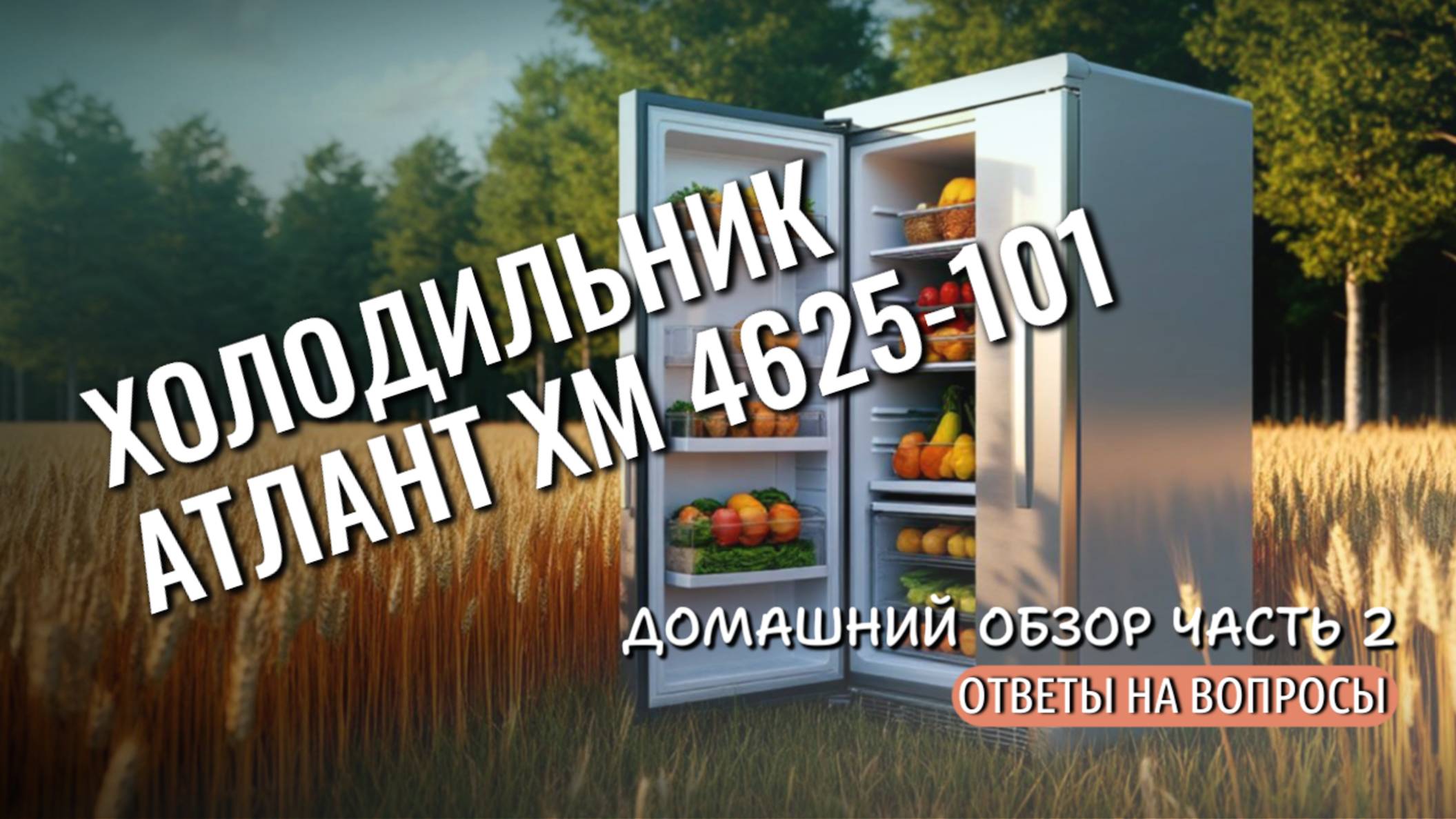 Холодильник АТЛАНТ ХМ 4625-101. Домашний обзор, часть 2