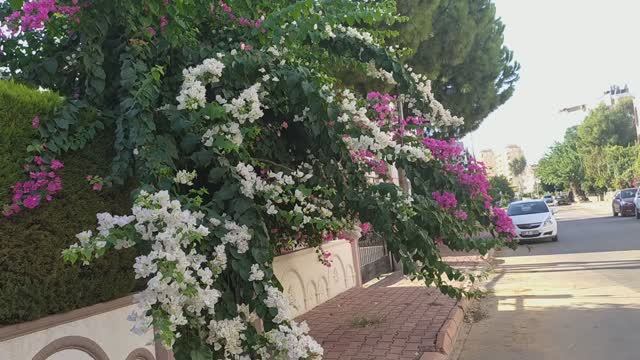 Анталия прогулка