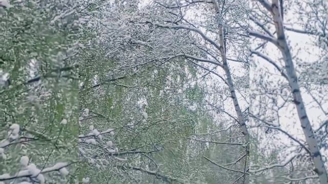 снег в конце апреля🌨(28-04-2025)