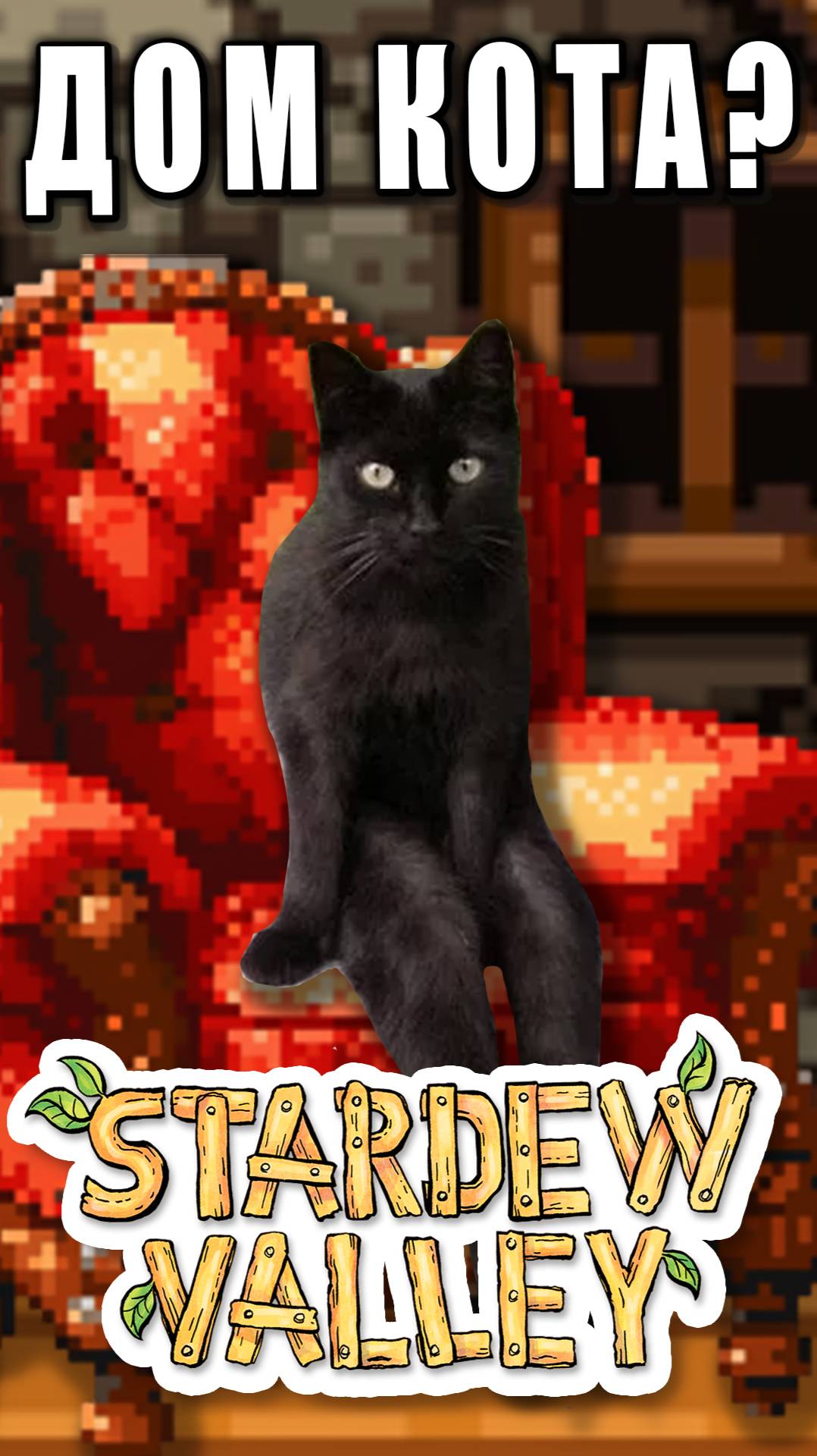 Дом друга-кота! Stardew Valley  #kamachlplay #камачэлплэй #стардьювалливалли #stardewvalley