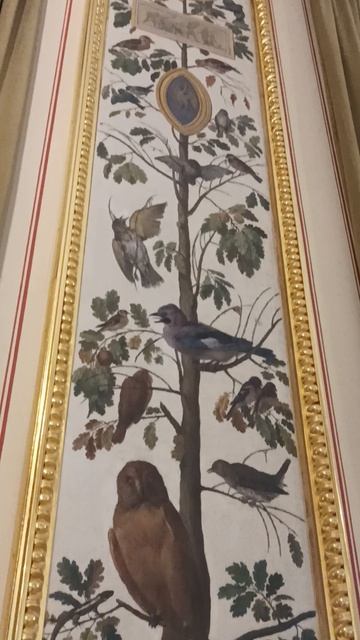 Строгановский дворец. Детали