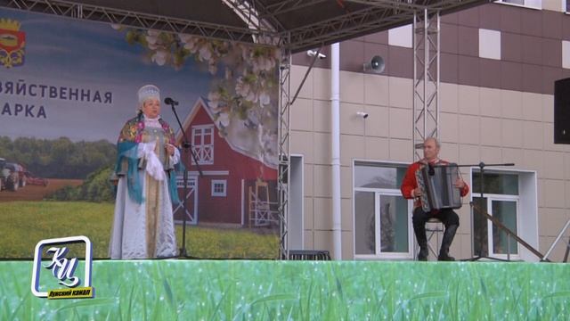 Весенняя ярмарка. Концерт коллективов Лужского Дома культуры. 2025.