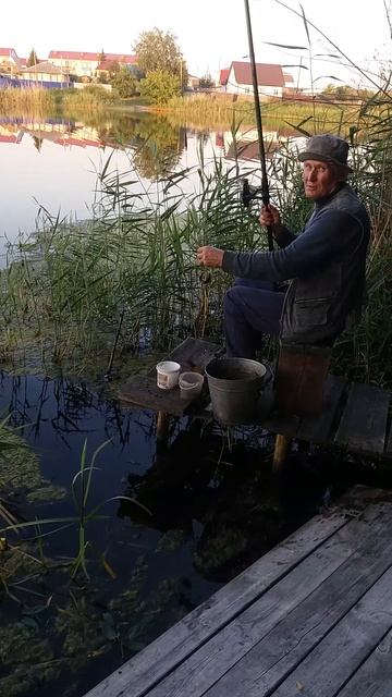 Эх...Неудача! #рыбалка#михалычдачник