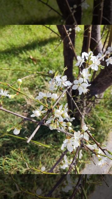 Прекрасное рядом, открой глаза.