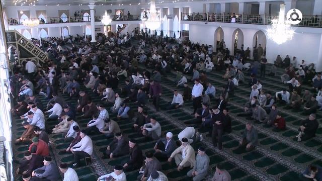 Рузбан хьехам. Имам центральной мечети г. Назрань Хизир Цолоев