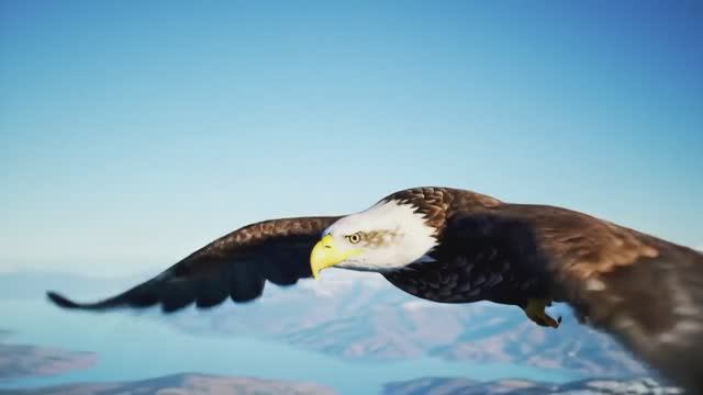 птица. стихи  Кадуков Сергей