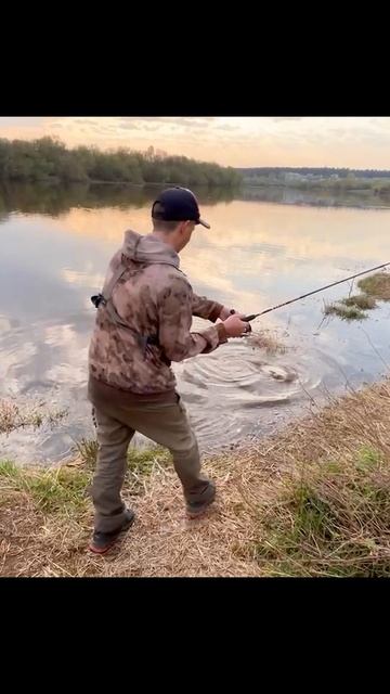 ТАКОГО ГИГАНТА МАЛО КТО ЛОВИЛ! Рыбалка на спиннинг в 2025