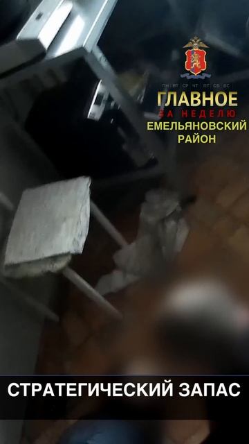 СТРАТЕГИЧЕСКИЙ ЗАПАС