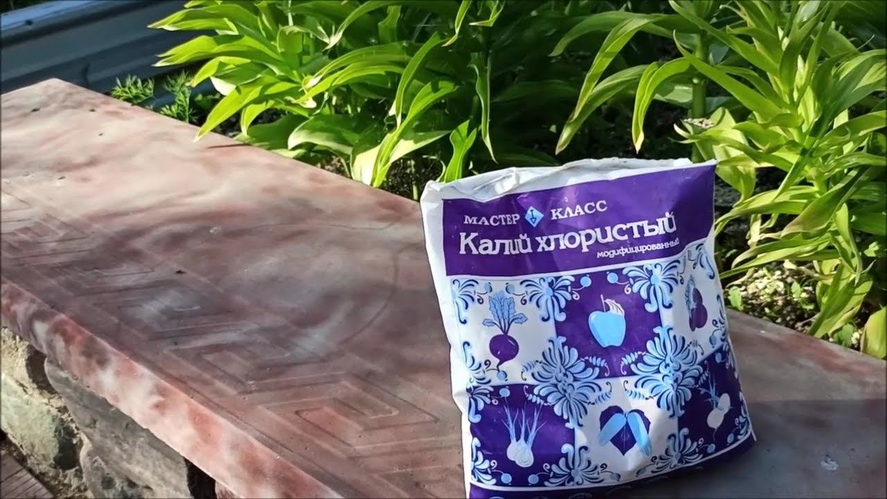 Помидоры ЖИРУЮТ. Причины и как бороться.