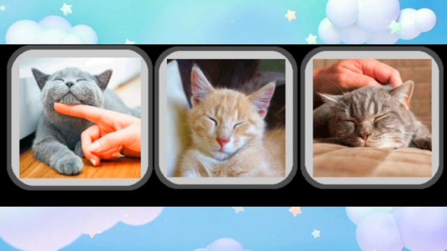 АСМР Мурчание и звуки Кошек #2/ Звуки для расслабления, сна и релаксации/ мяуканье кошек