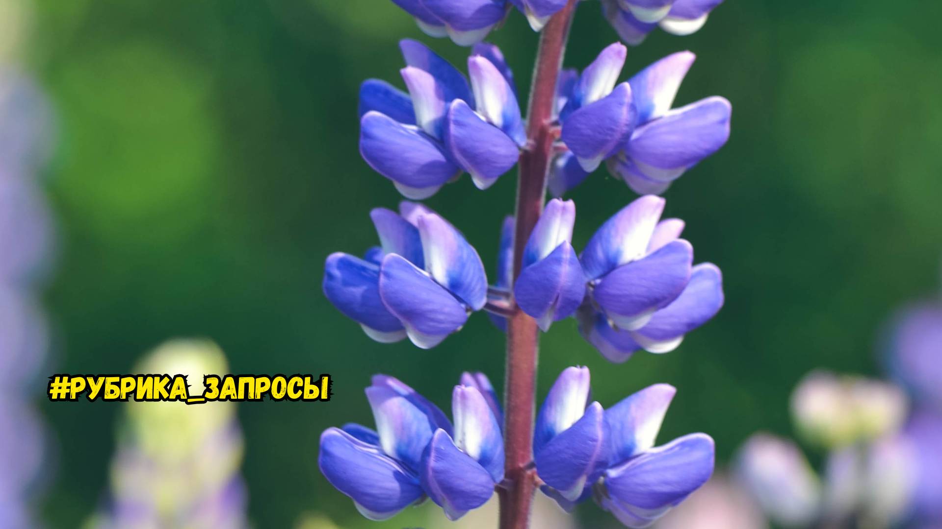 О расширении и очищении пространства.