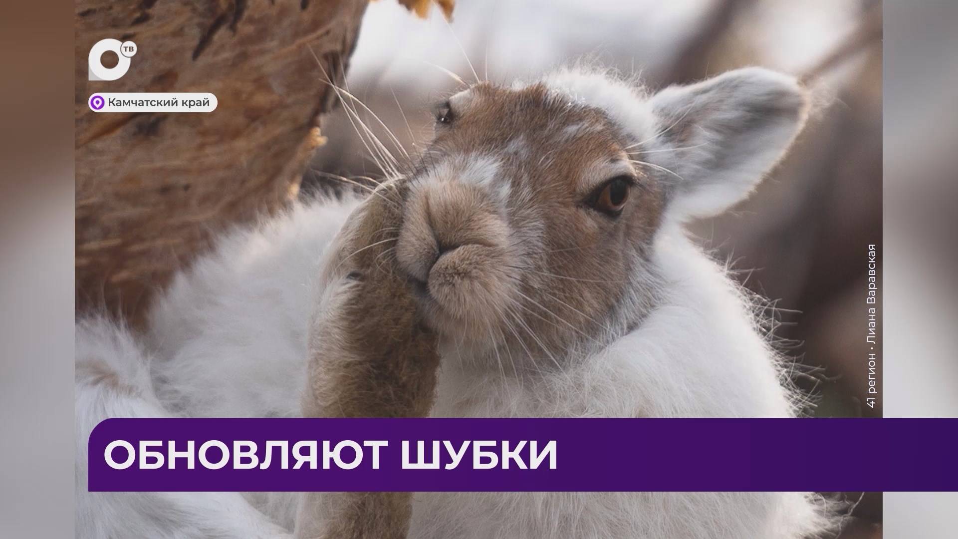 Дальний Восток Блиц / 28.04.25