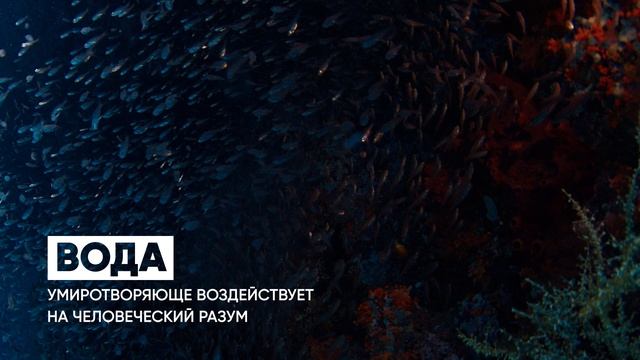 Тренды в дизайне 2024 от компании AMIGO