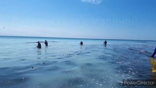 Тихоокеанская сельдь / как ловить рыбу /  26 апреля