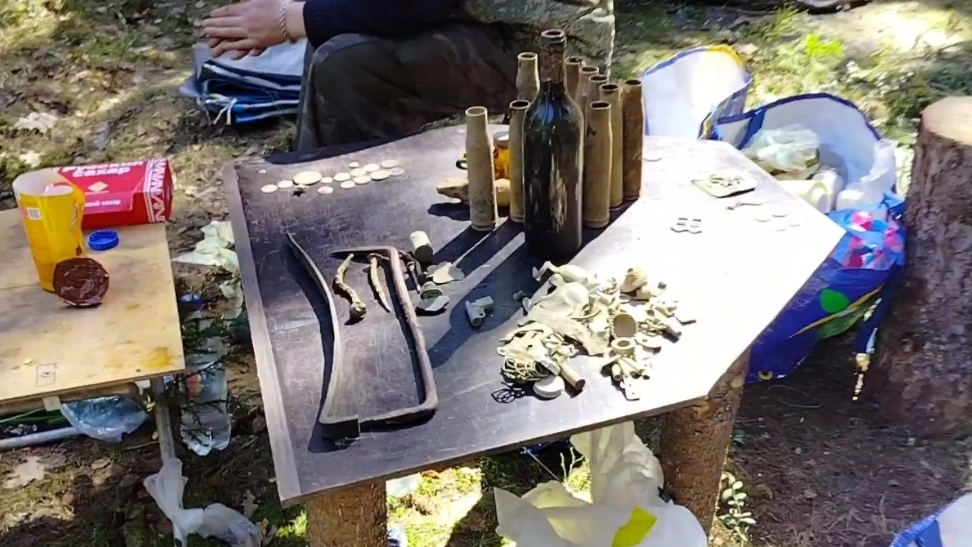 Мыза Муккова ( Моково) металлокоп 8 дней в лесу