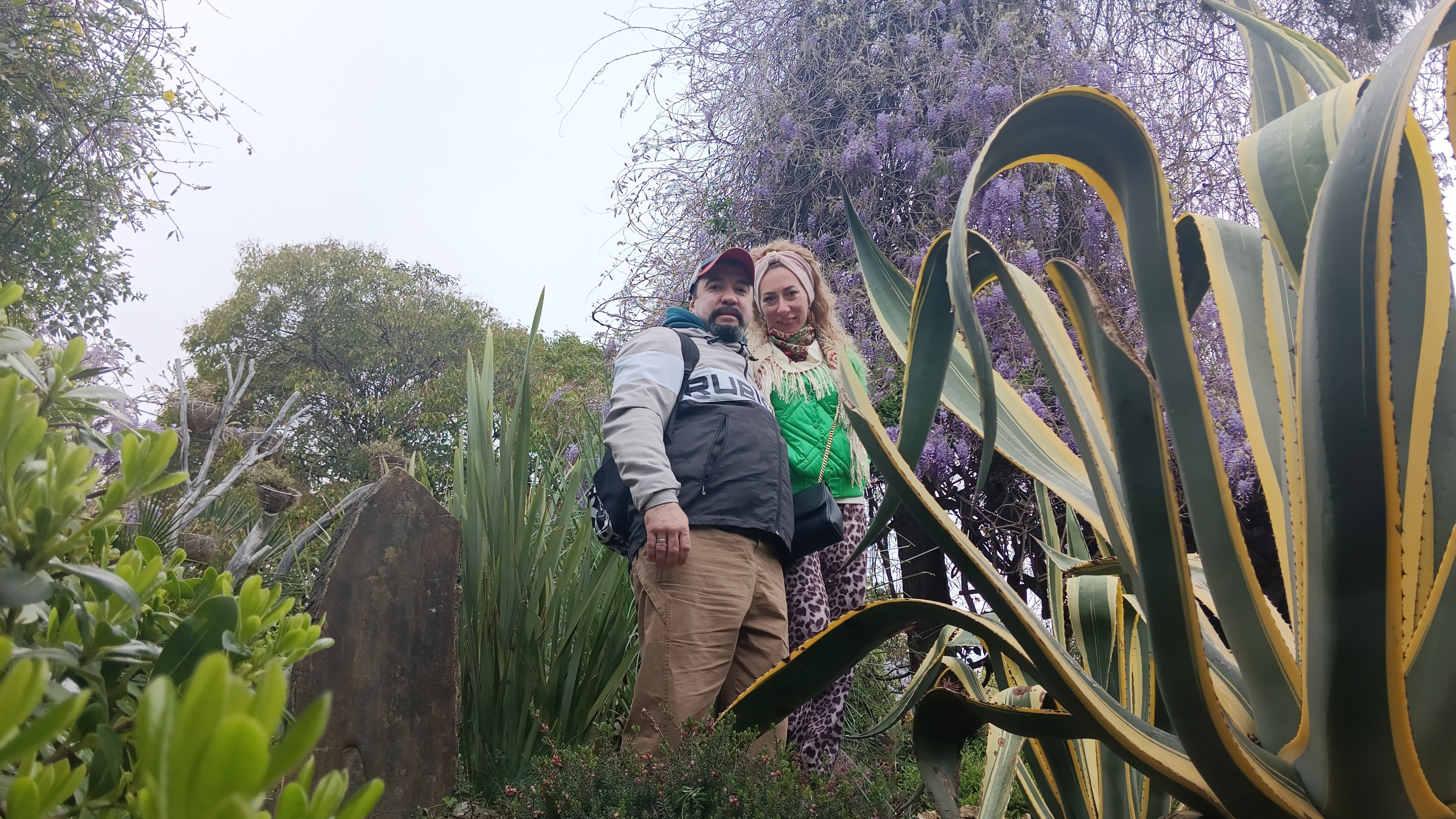 уголок Фитофантазия в Сочи