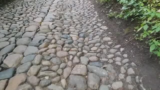 Булыжная мостовая Смоленск. В атмосфере старого города. Увлекательный спуск с холма.