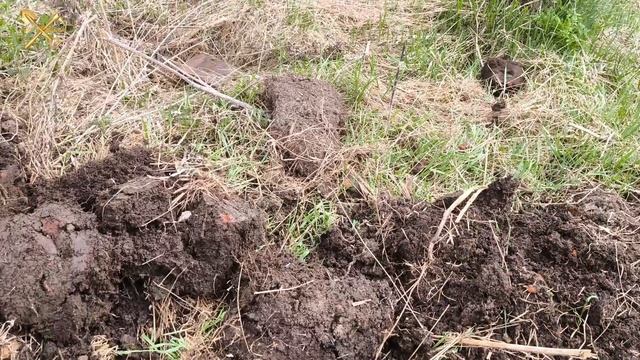 Шурф Фундамента  Старое урочище