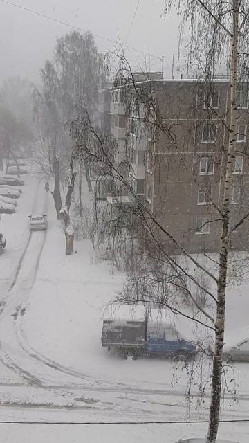 Вот и закончилось короткое уральское лето...