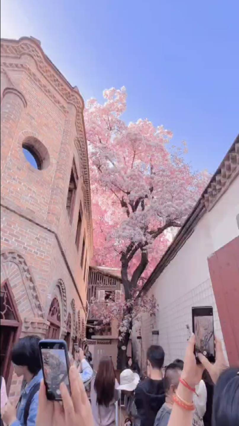 Весна в Фучжоу.