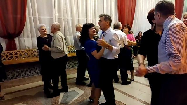 Чайки 17.12.22.