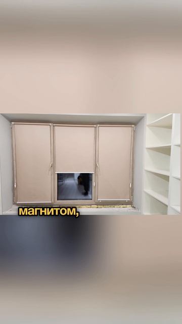 Жалюзи на окна. Купить по вашим размерам. #рулонныешторы #жалюзинаокна #мосроллета