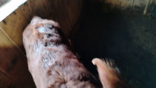 Привет от Мартина.