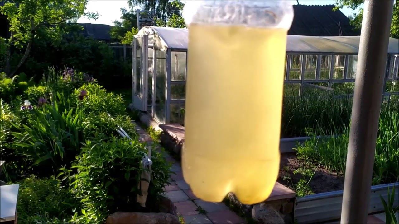 Что на выходе после СЕПТИКА. Степень очистки стоков после обычного трехсекционного септика..