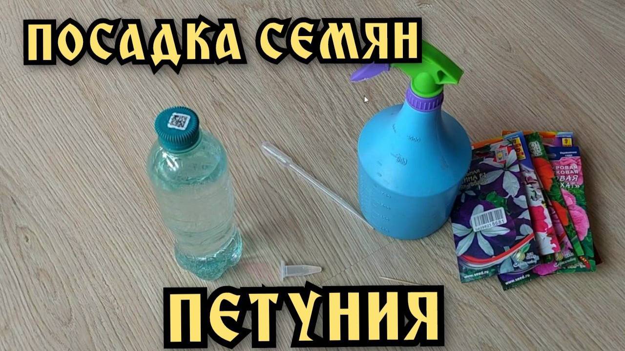 Посев петунии на рассаду.Как посеять петунию. Посев семян. Легкий и простой способ.