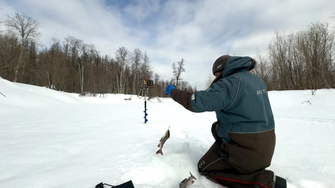 УЕХАЛ В ГЛУШЬ В ПОИСКАХ ХАРИУСА | ПРОВЕРЯЮ НОВУЮ ДЛЯ МЕНЯ РЕКУ НА НАЛИЧИЕ РЫБЫ