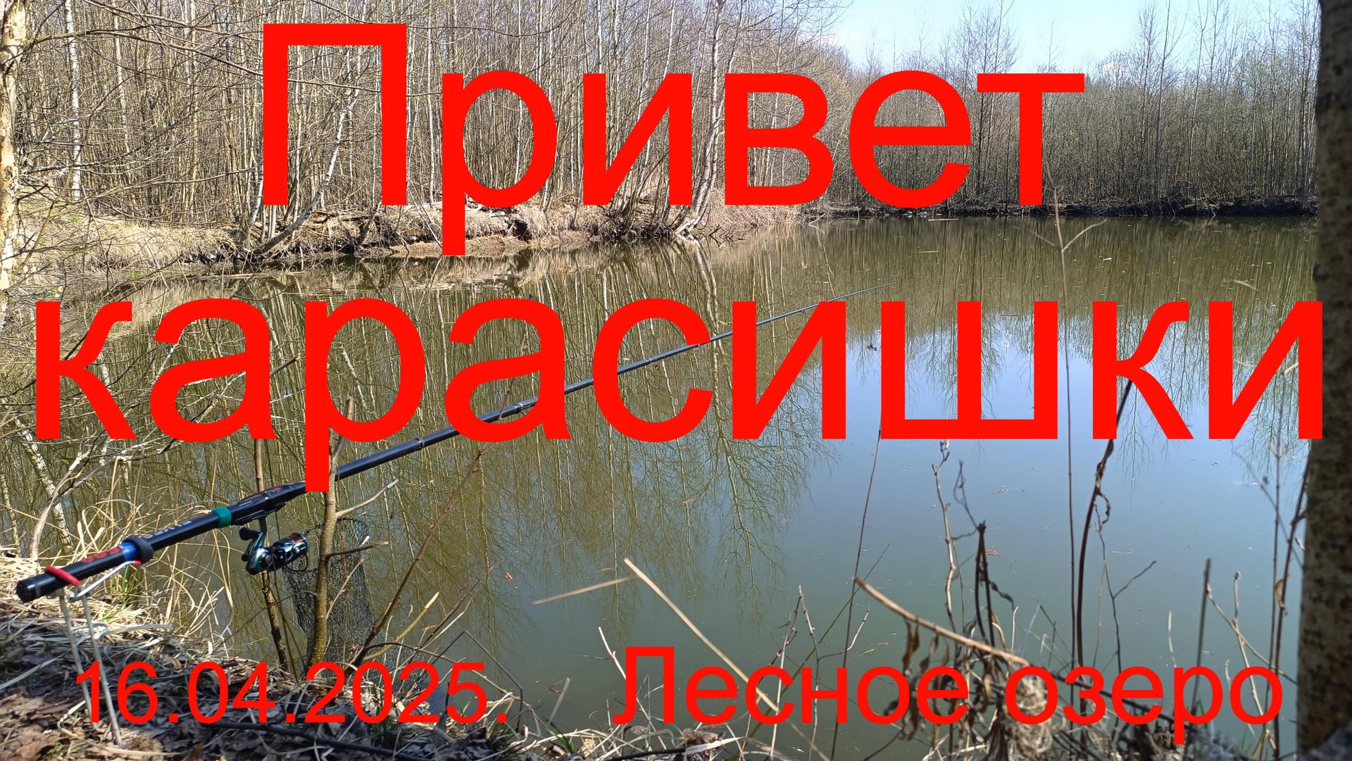 Привет карасишки. 16.04.2025. Лесное озеро