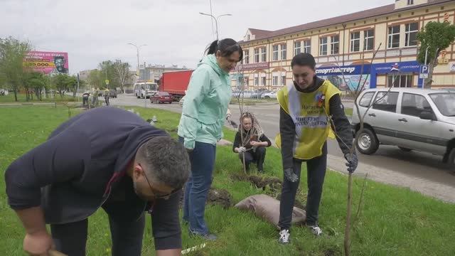 К 80-летию Великой Победы в Невинномысске высадили несколько десятков молодых деревьев